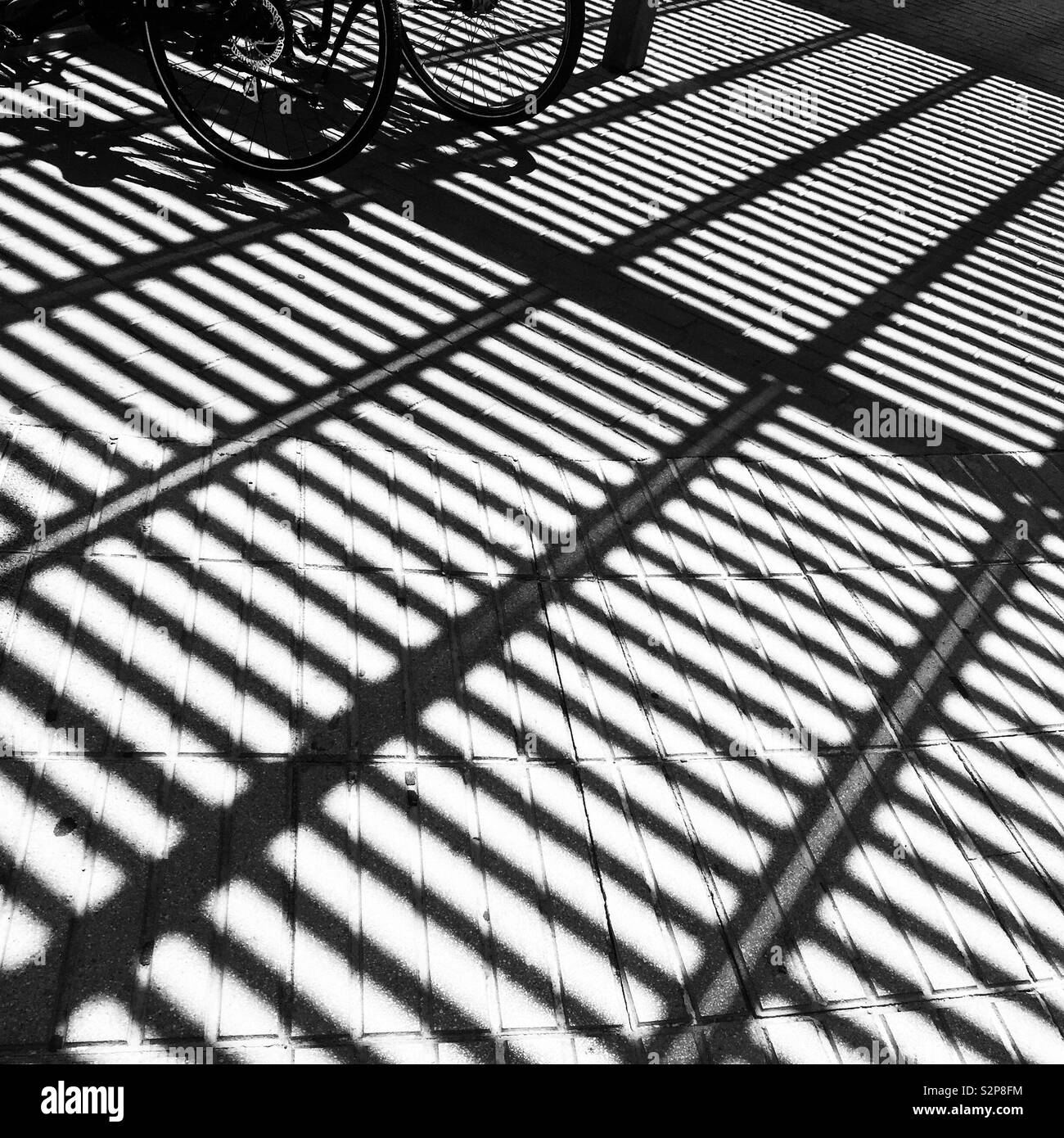 Straight vertical lines Black and White Stock Photos & Images - Alamy