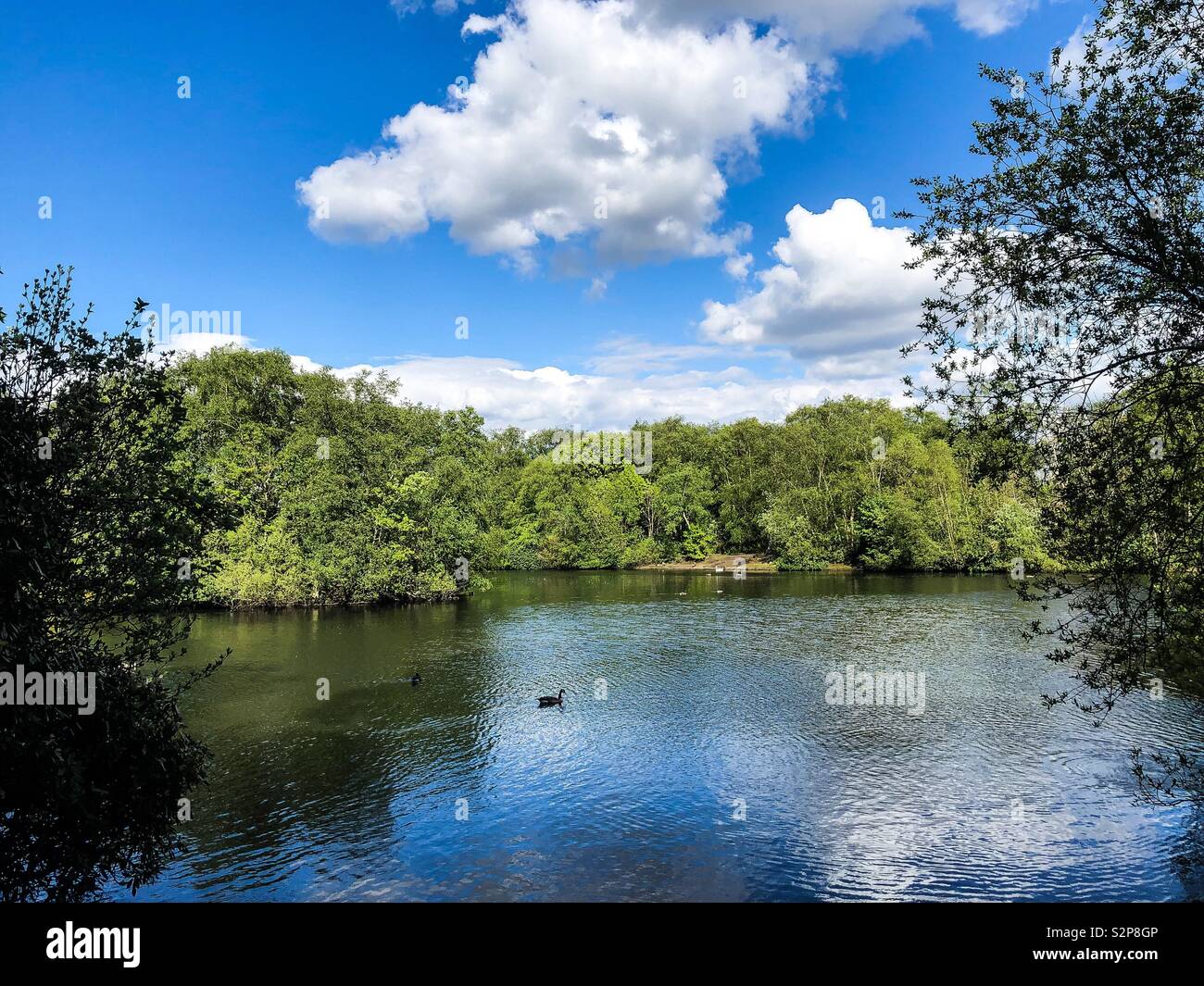 Calm zen hi-res stock photography and images - Alamy