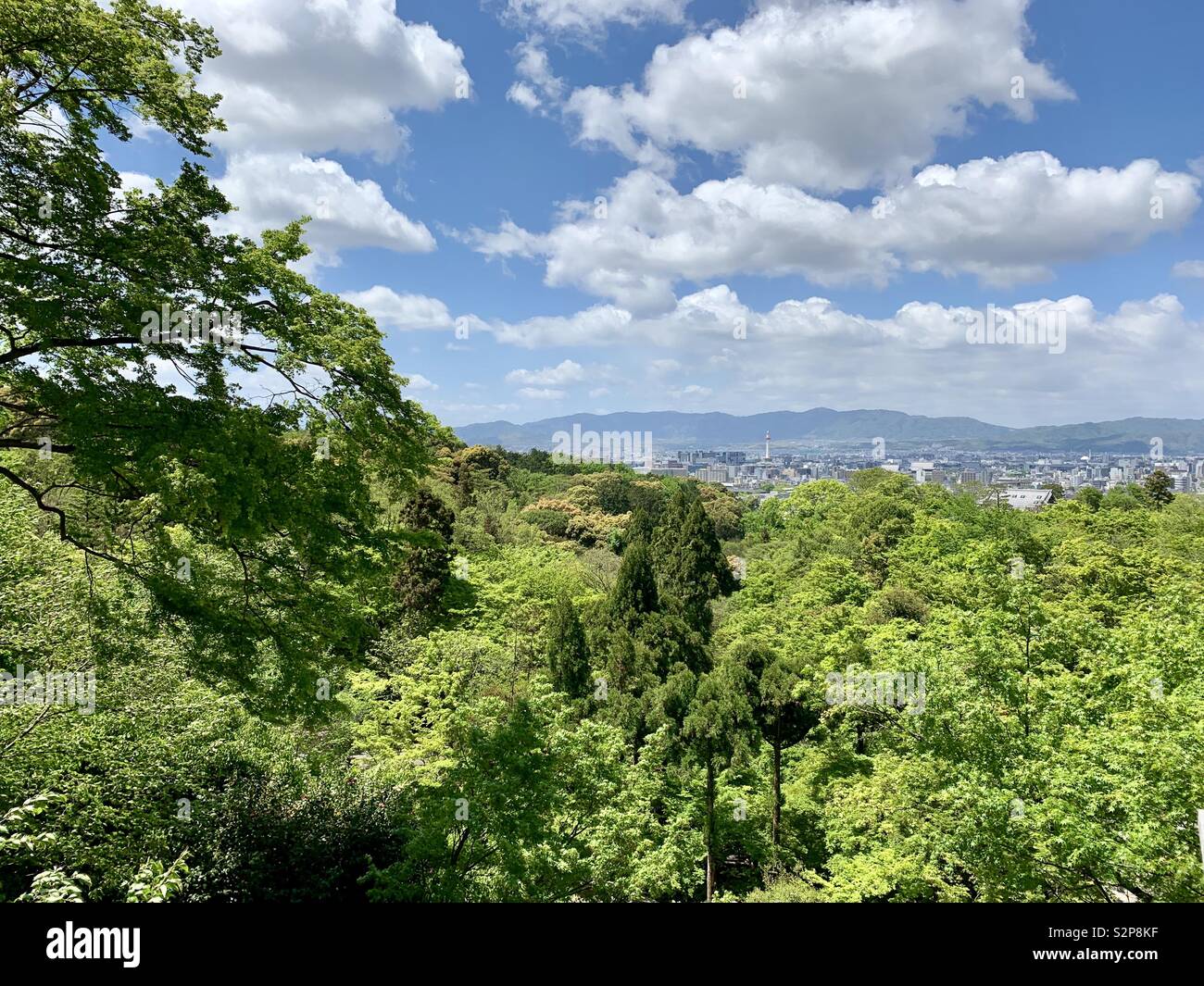 Green scenery hi-res stock photography and images - Alamy