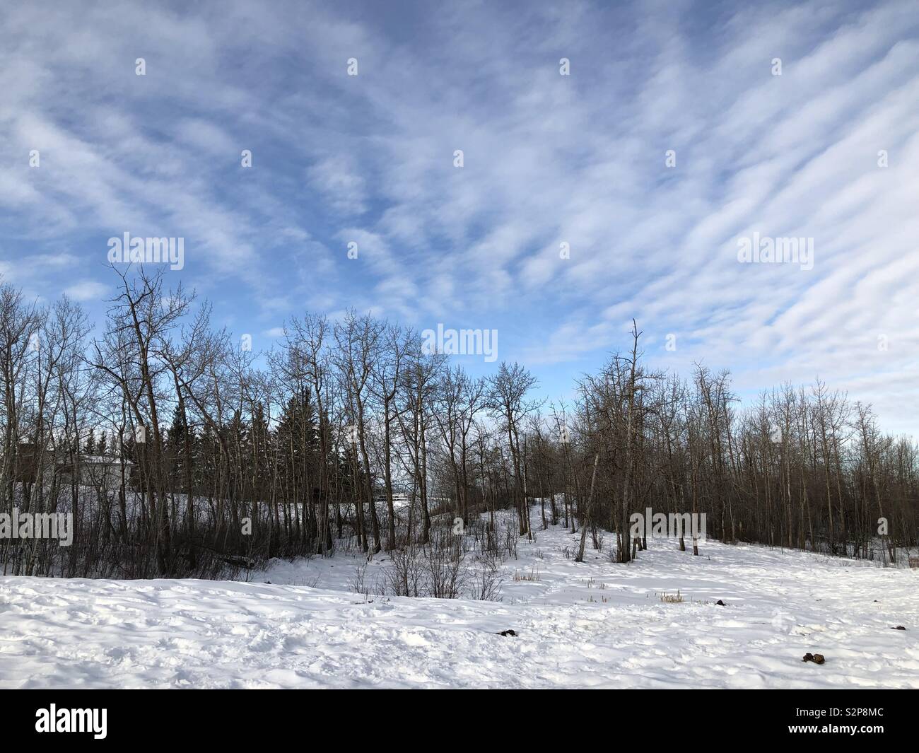 Homestead farm hi-res stock photography and images - Alamy