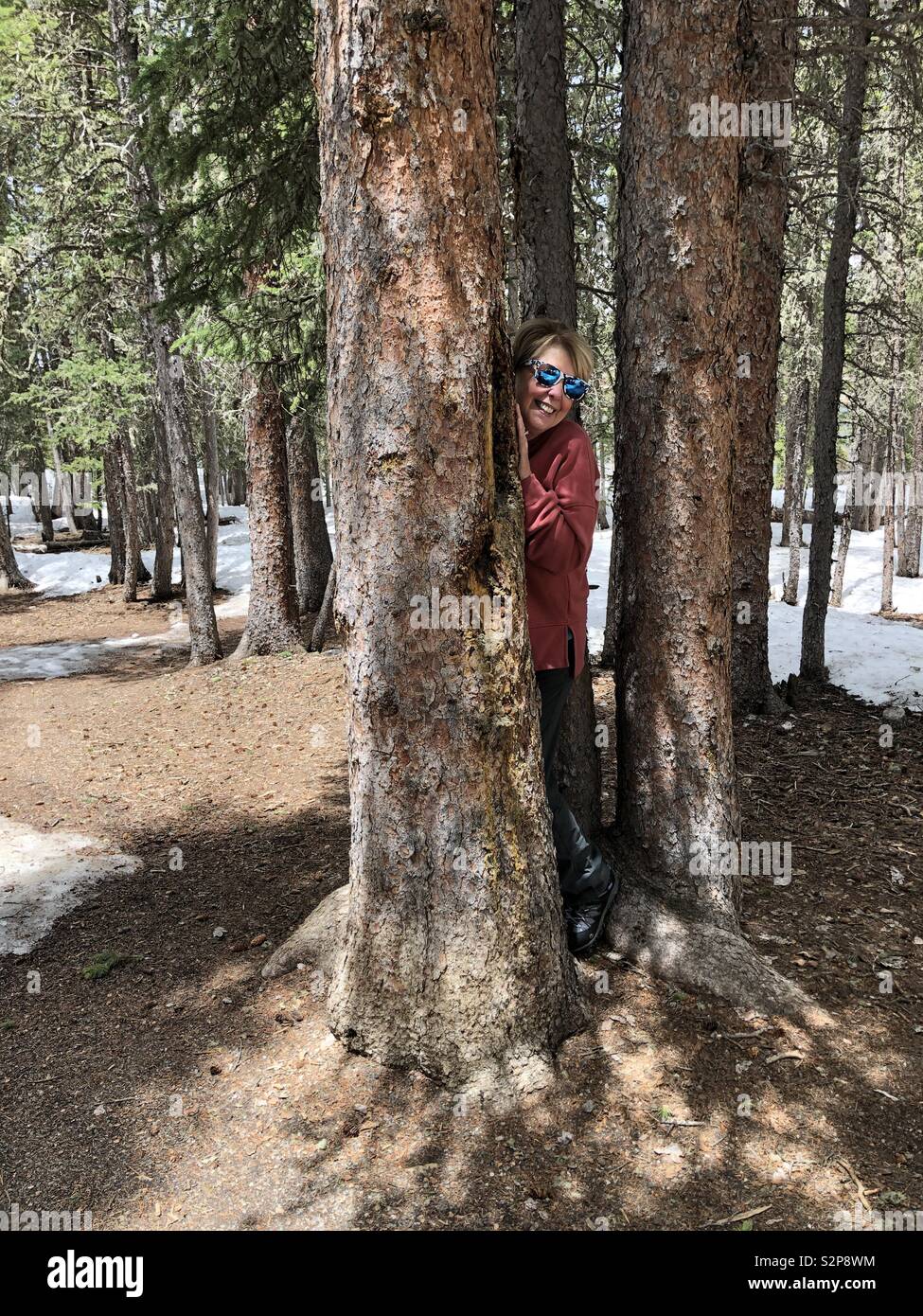 Woman peeking out from behind trees Stock Photo - Alamy