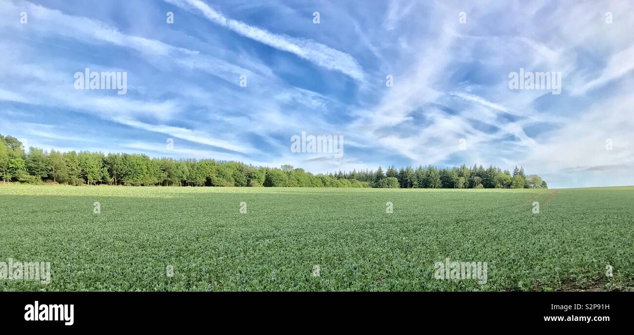 Ellisfield hi-res stock photography and images - Alamy