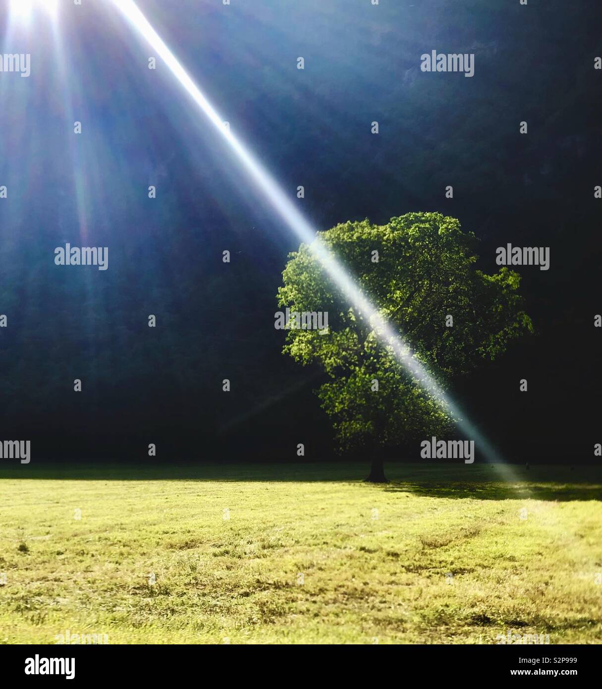 Light radius hi-res stock photography and images - Alamy