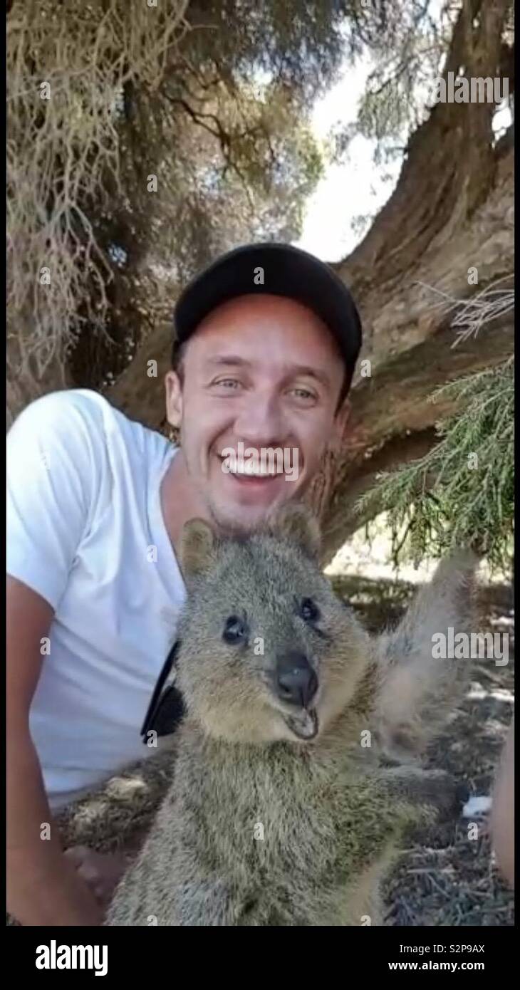 Quokka Selfie