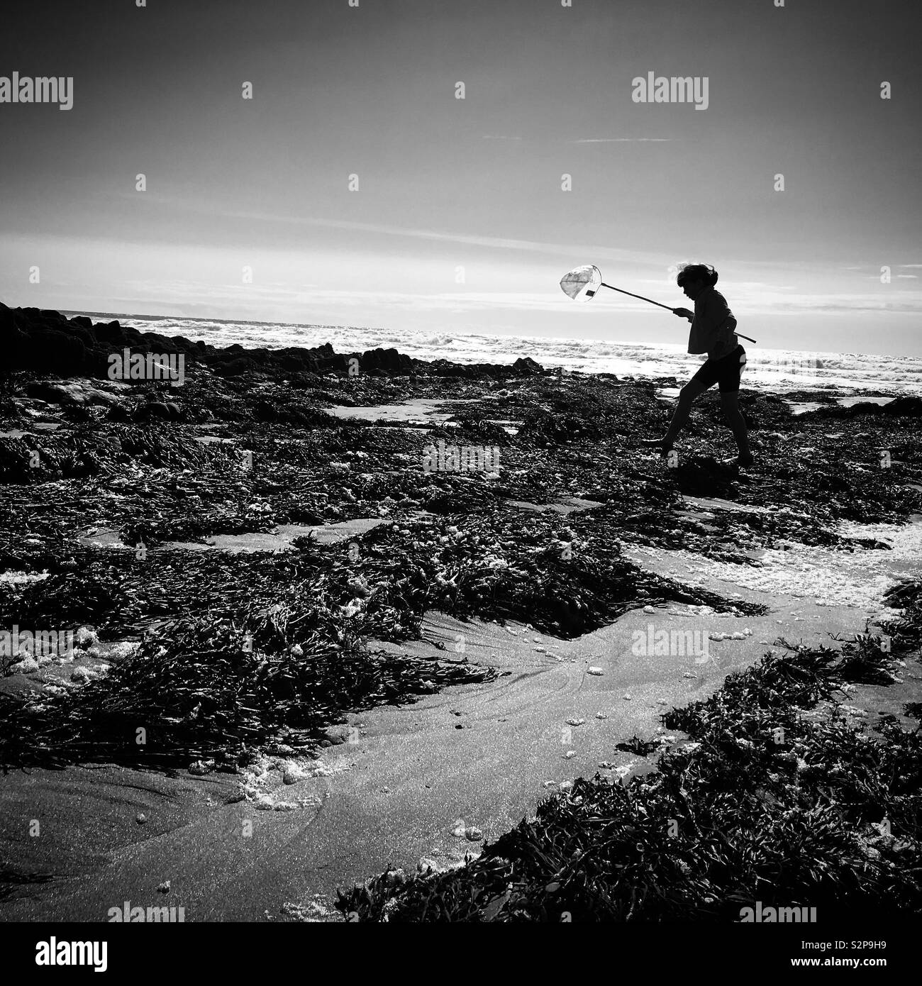 Rock pooling hi-res stock photography and images - Alamy