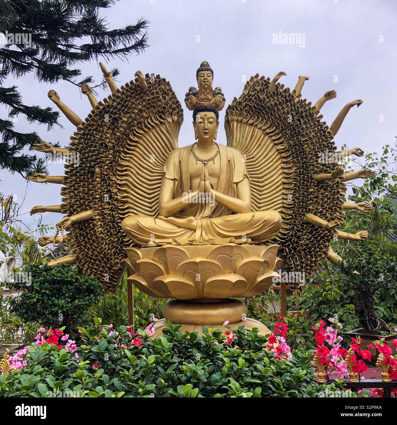 Marici hi-res stock photography and images - Alamy