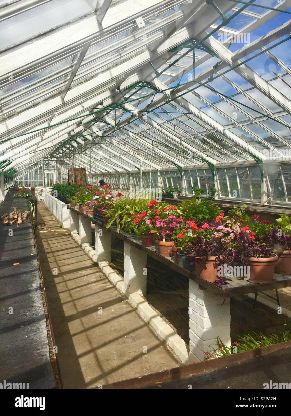 Pot plants hi-res stock photography and images - Alamy