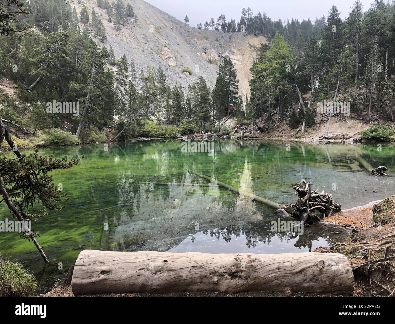 Lago verde hi-res stock photography and images - Alamy