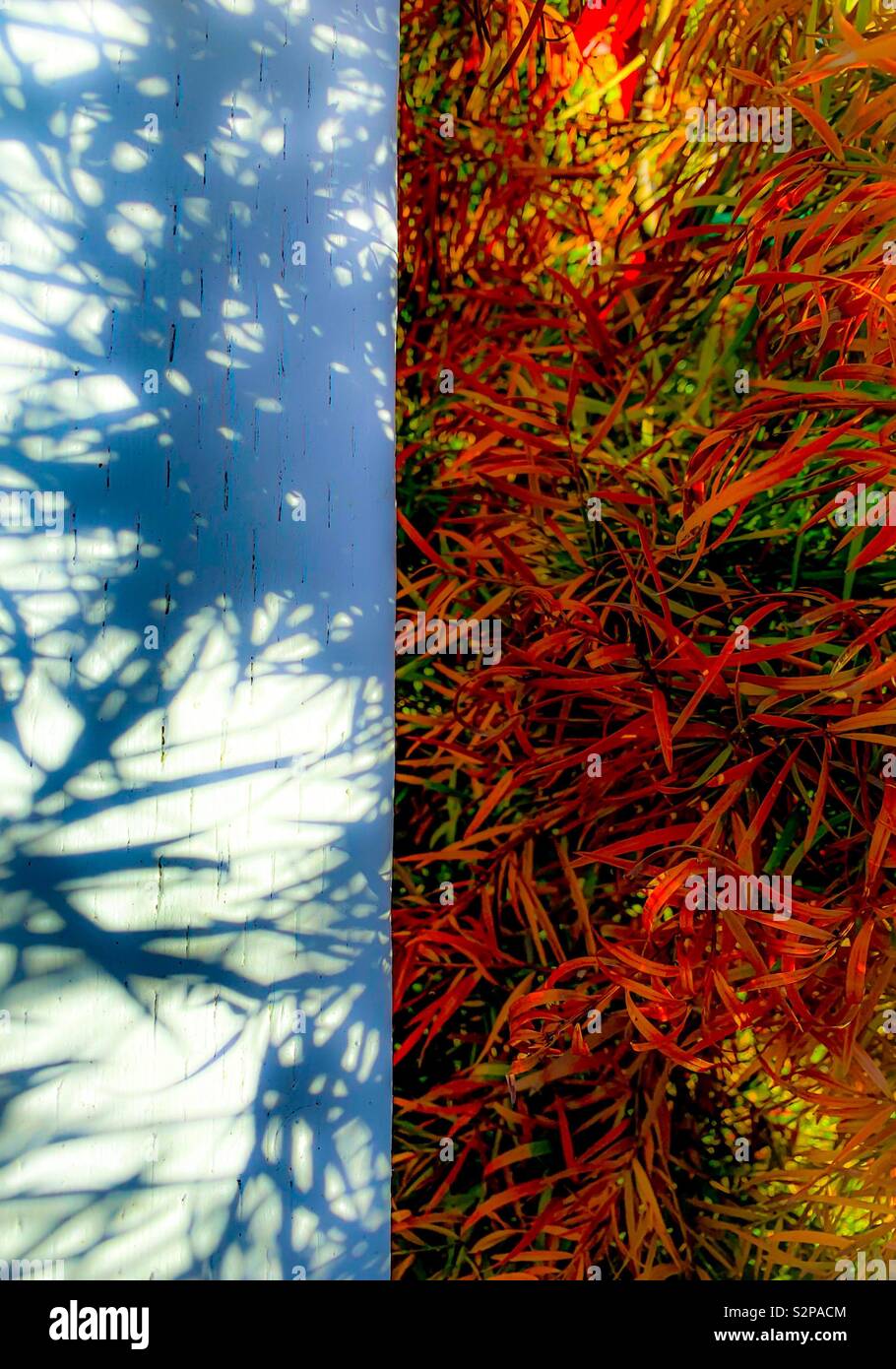 Colorful lines and shapes hi-res stock photography and images - Alamy