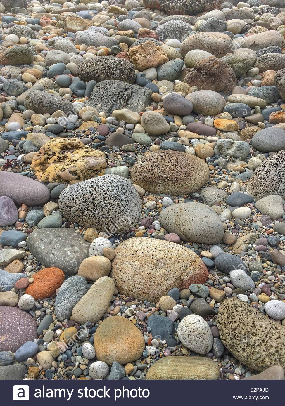 Pebbles on a beach Stock Photo - Alamy