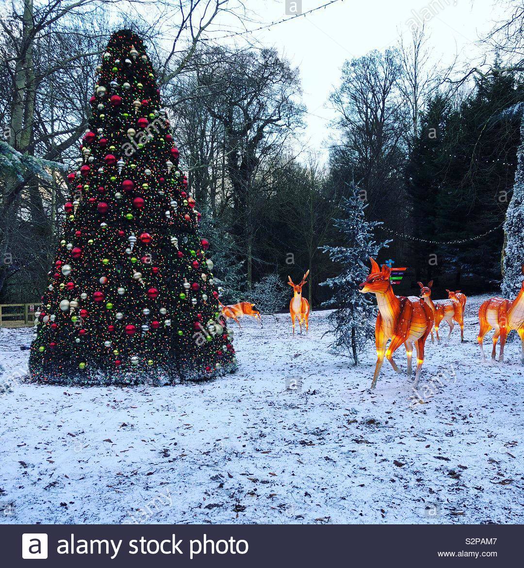 Santa train hi-res stock photography and images - Alamy