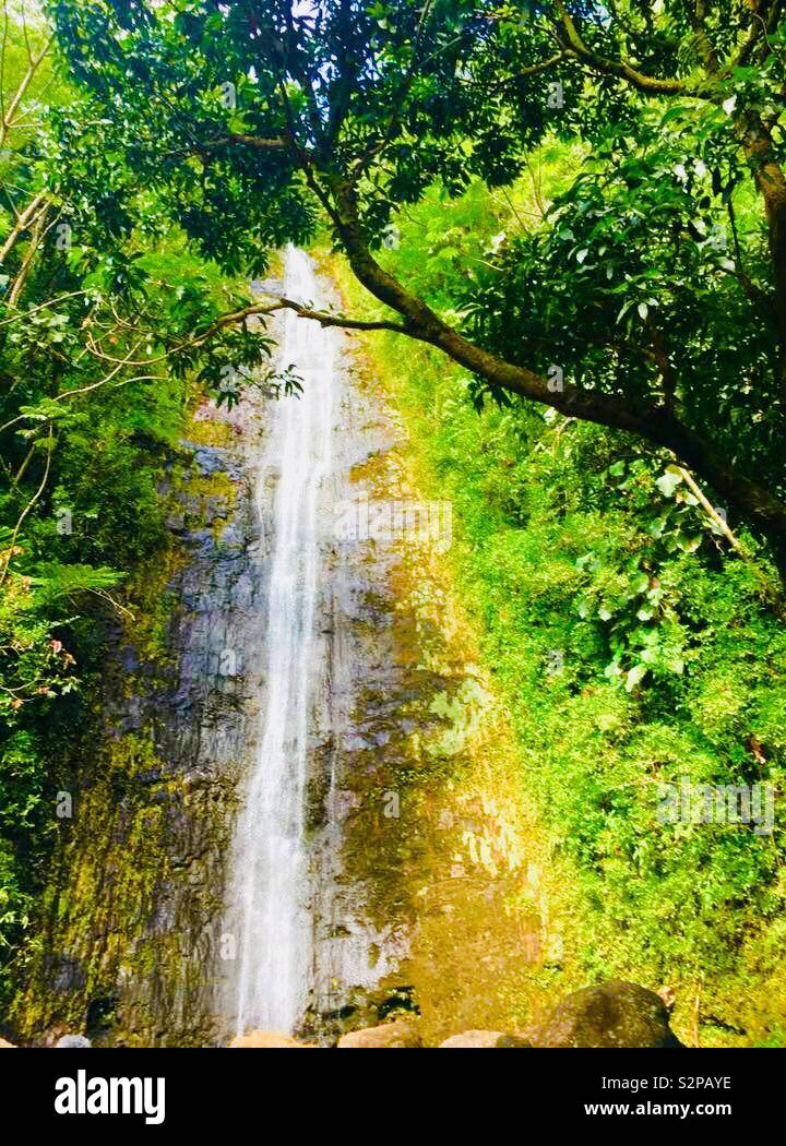 Manoa Waterfalls High Resolution Stock Photography and Images - Alamy