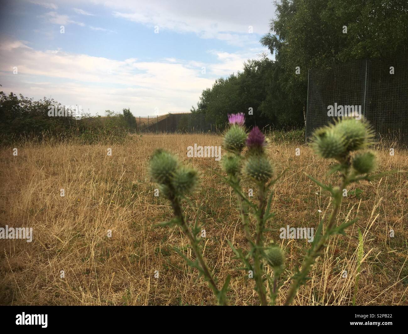 Greenham Common Base Stock Photos & Greenham Common Base Stock Images ...