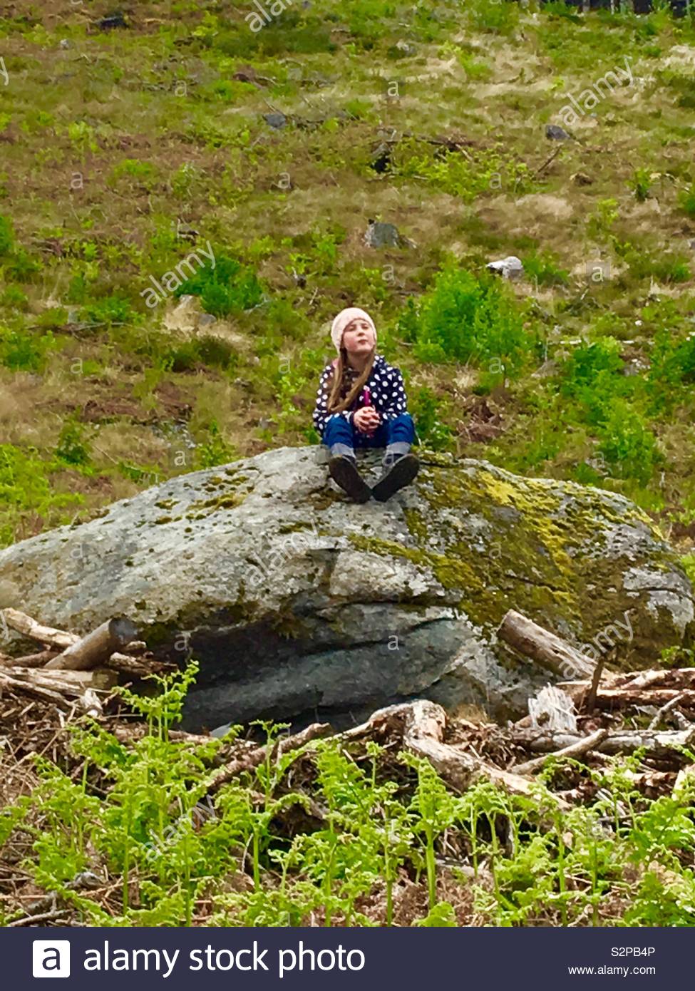 Rock in nature hi-res stock photography and images - Alamy