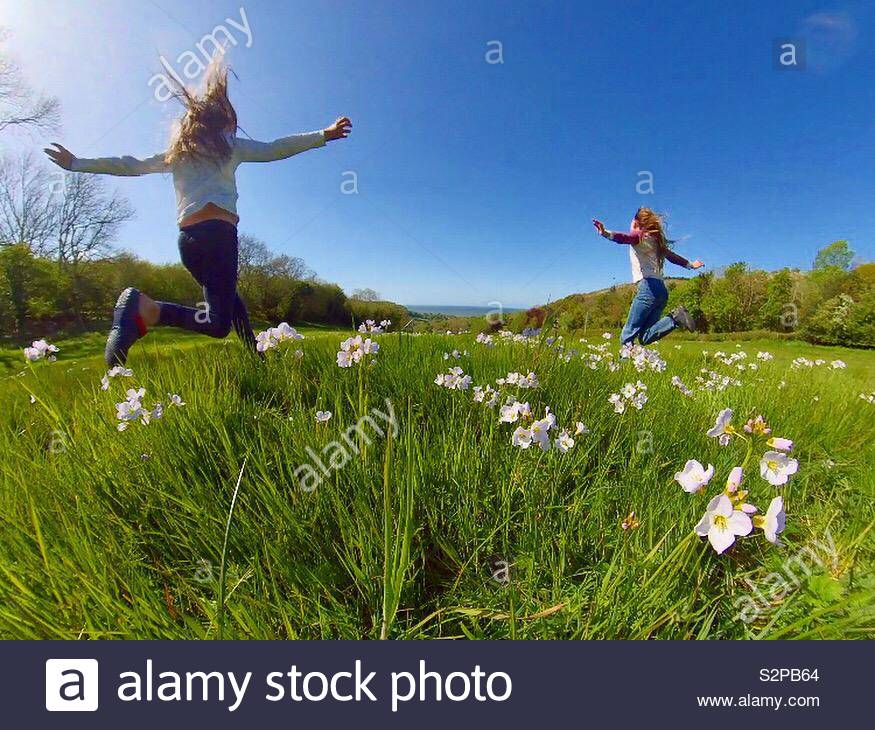 Children playing in the field Stock Photo - Alamy