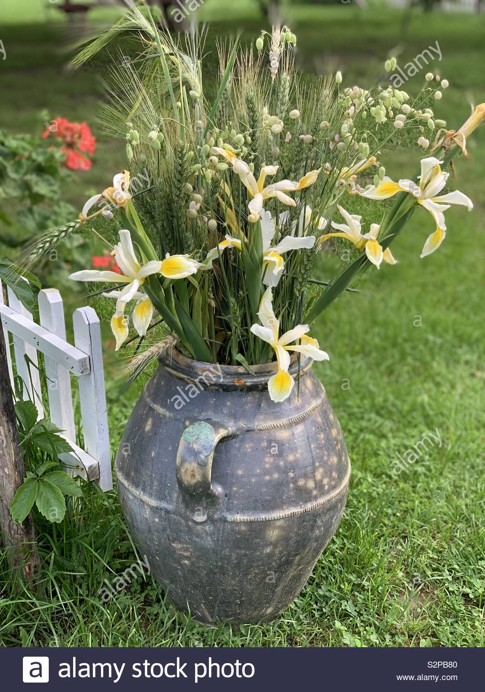 Wild flowers in a pot Stock Photo - Alamy