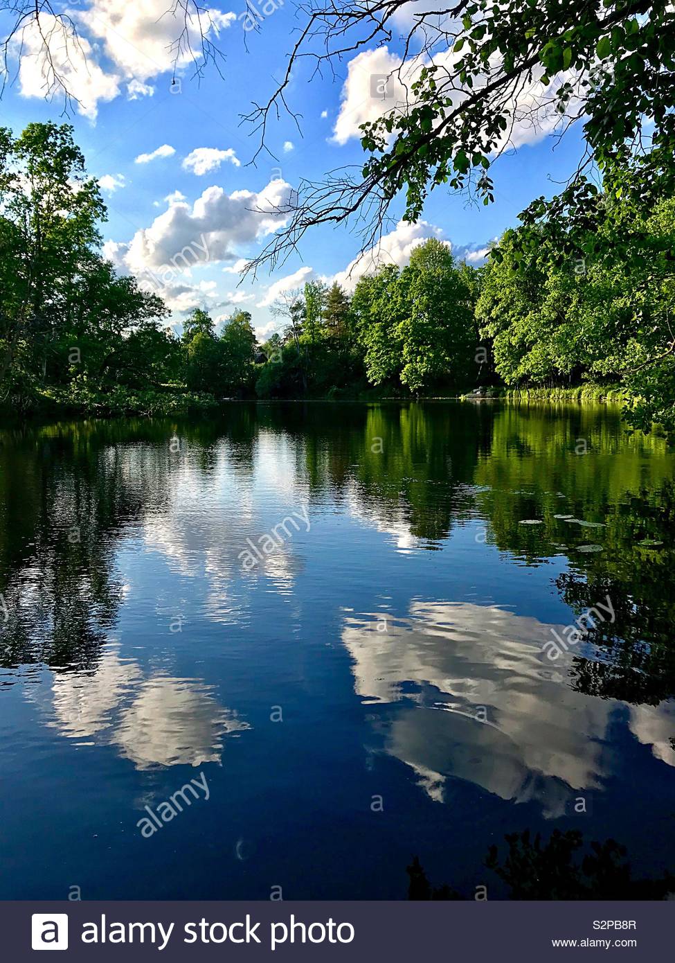Natural Symmetry High Resolution Stock Photography and Images - Alamy