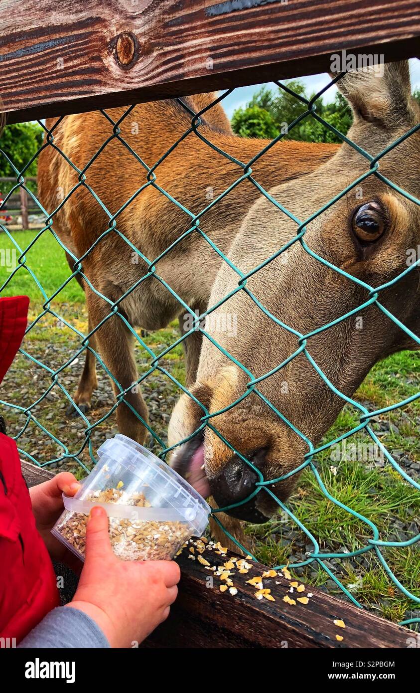 Fed up boy hi-res stock photography and images - Alamy