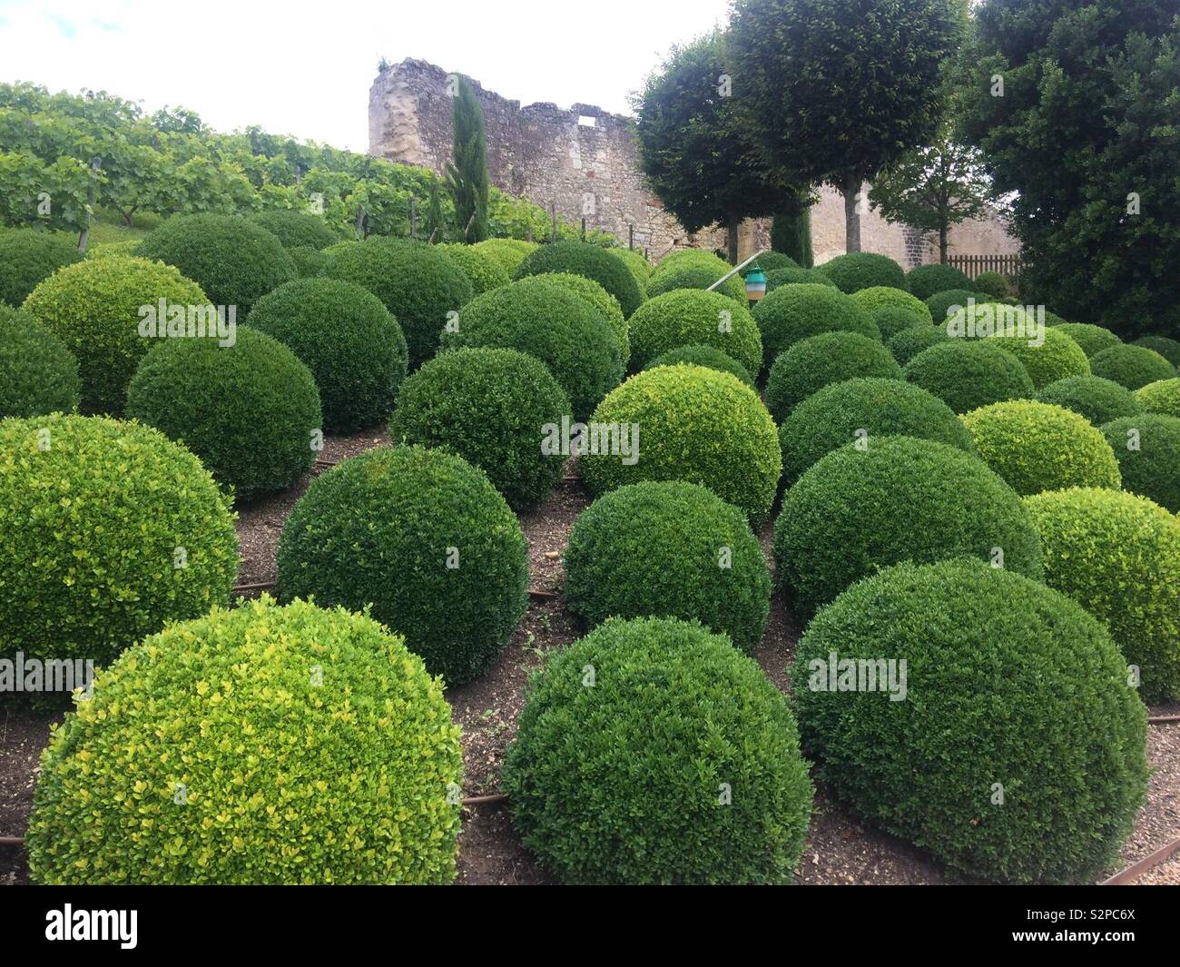 Topiary balls hi-res stock photography and images - Alamy