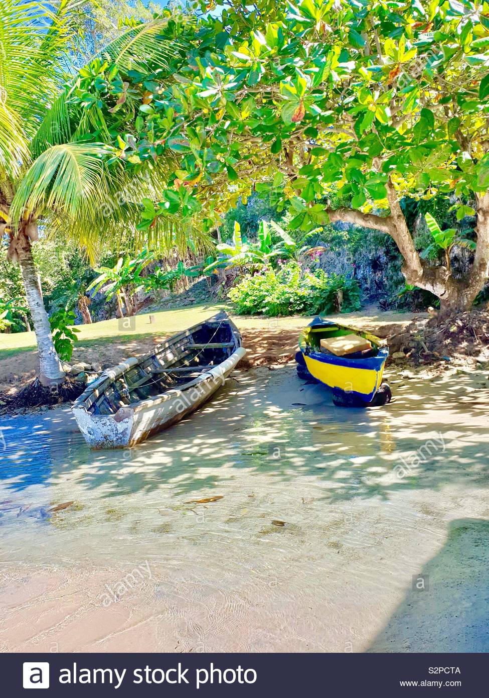 Two boats under trees in the sunshine Stock Photo - Alamy