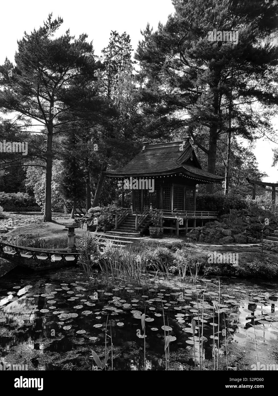 Tatton park japanese garden hi-res stock photography and images - Alamy