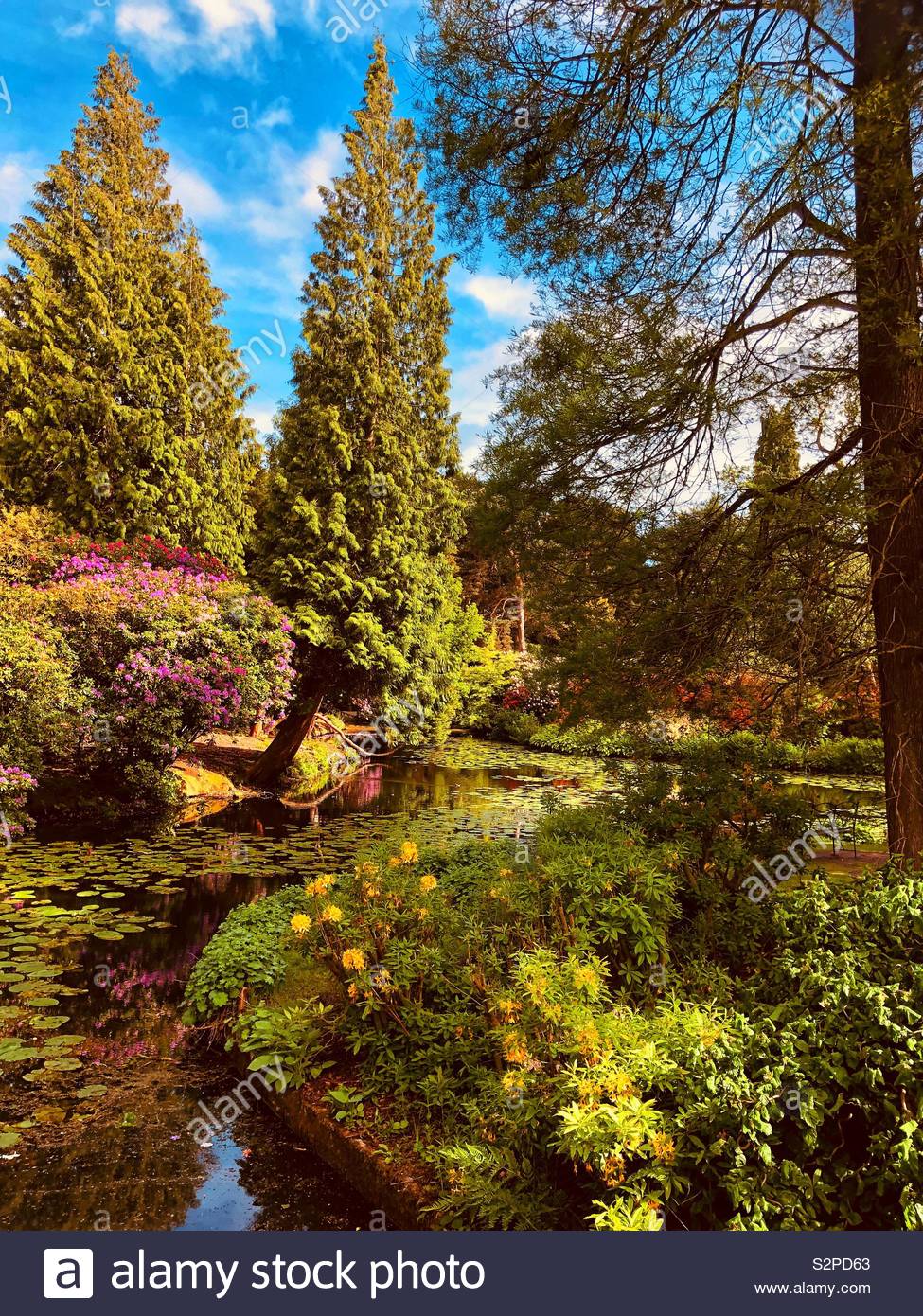 Tatton park gardens hi-res stock photography and images - Alamy