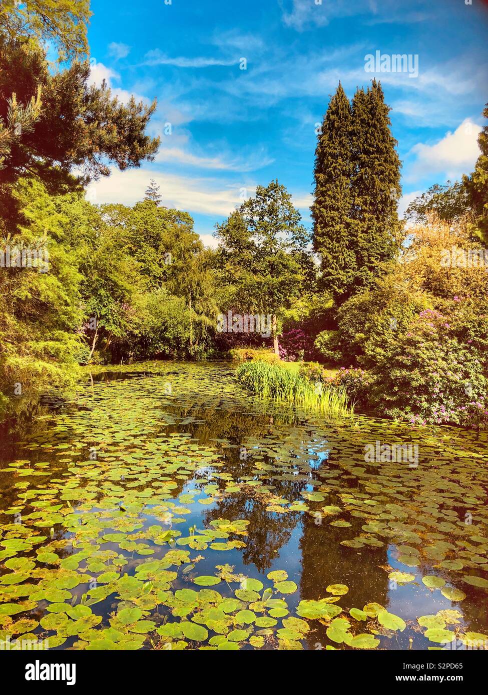 Tatton park gardens hi-res stock photography and images - Alamy