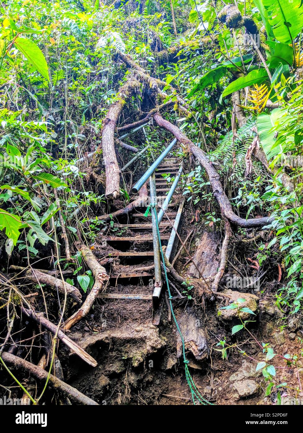 Scary stairs hi-res stock photography and images - Alamy