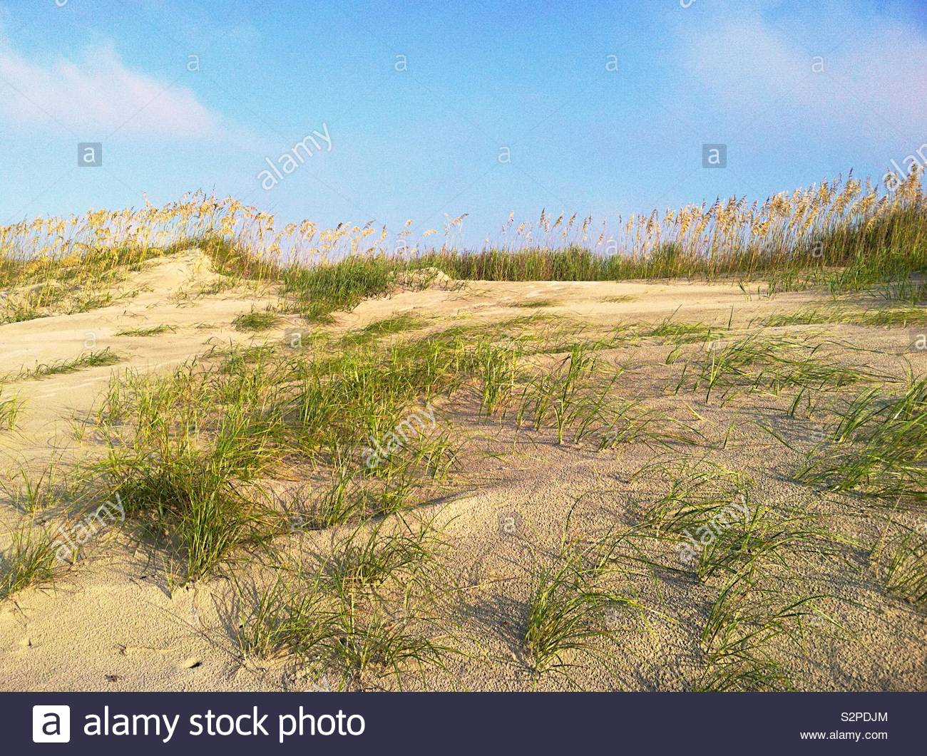 Windy dunes hi-res stock photography and images - Alamy