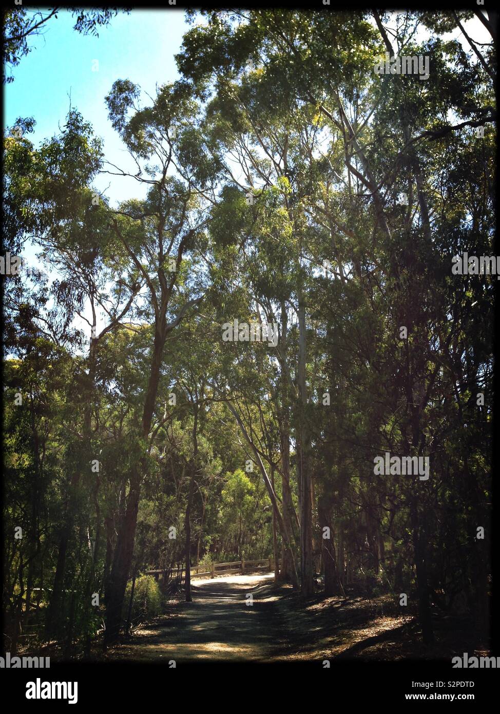 Blackburn lake sanctuary hi-res stock photography and images - Alamy