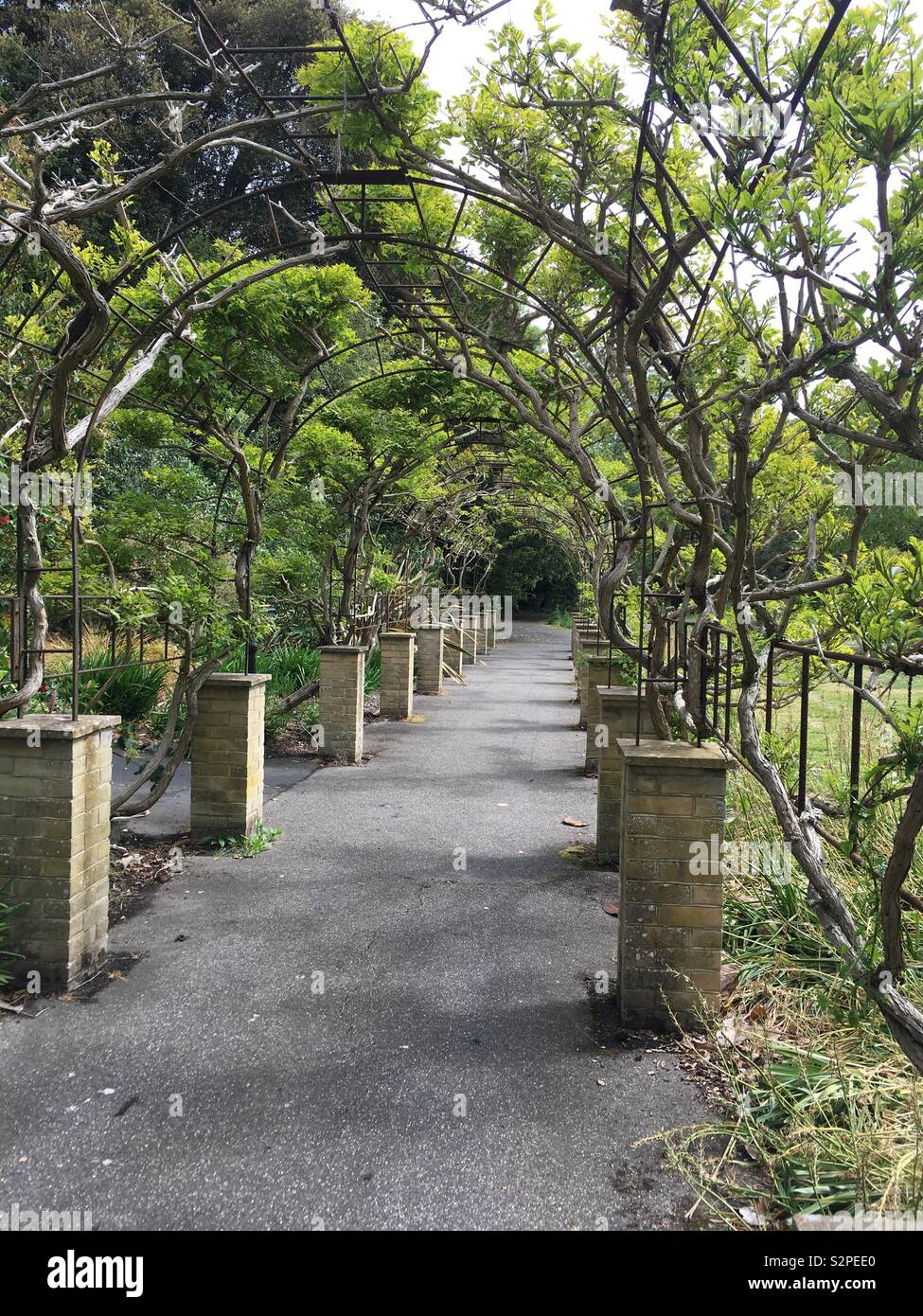 Lined arches hi-res stock photography and images - Alamy