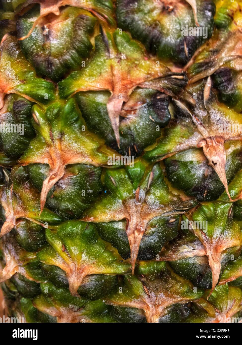 Full frame of a perfectly ripe pineapple Stock Photo - Alamy