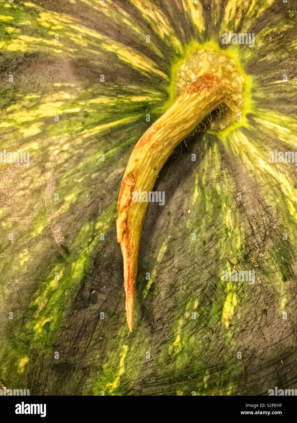 Full frame closeup of a perfectly ripe watermelon Stock Photo - Alamy