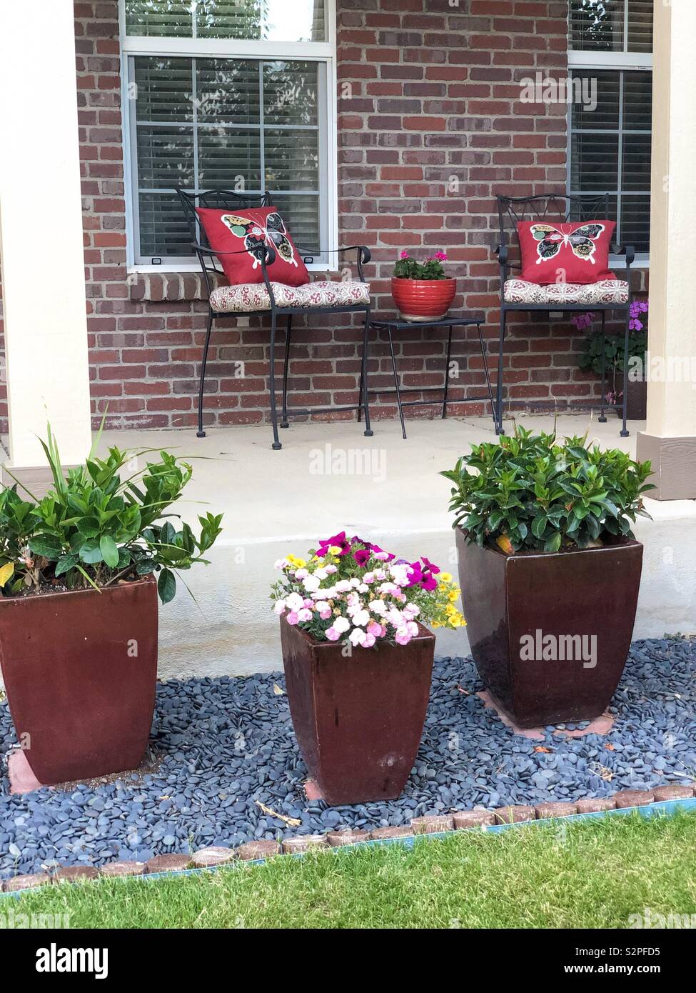 Plants in front hi-res stock photography and images - Alamy