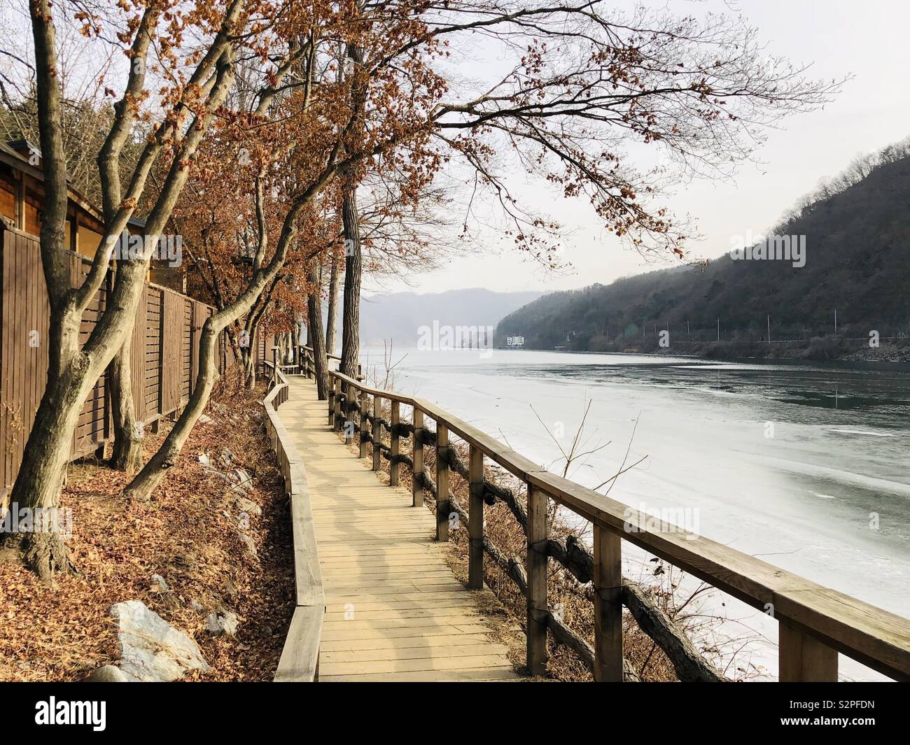 Winter in Nami island Stock Photo - Alamy