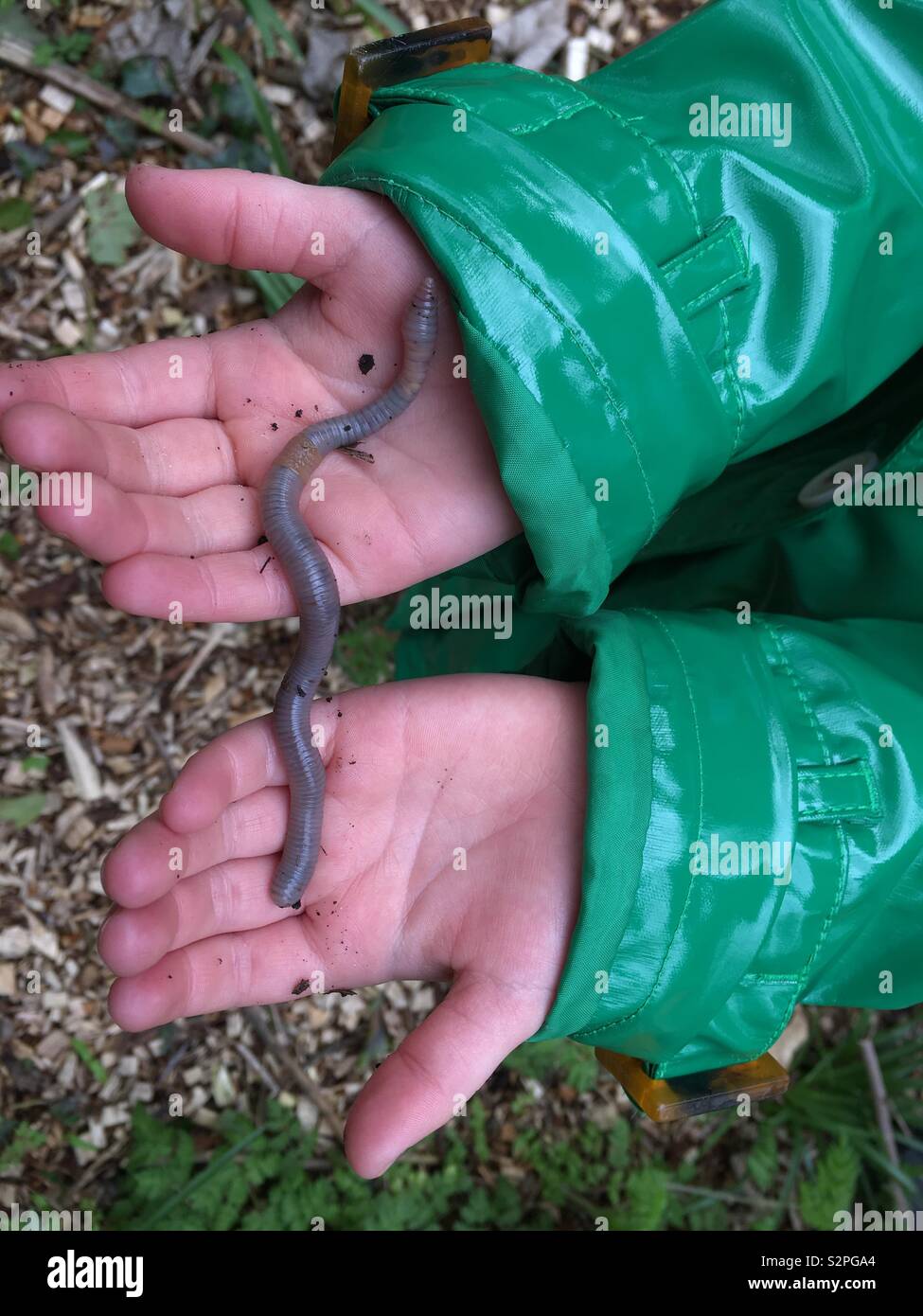 Worm in child’s hands Stock Photo - Alamy