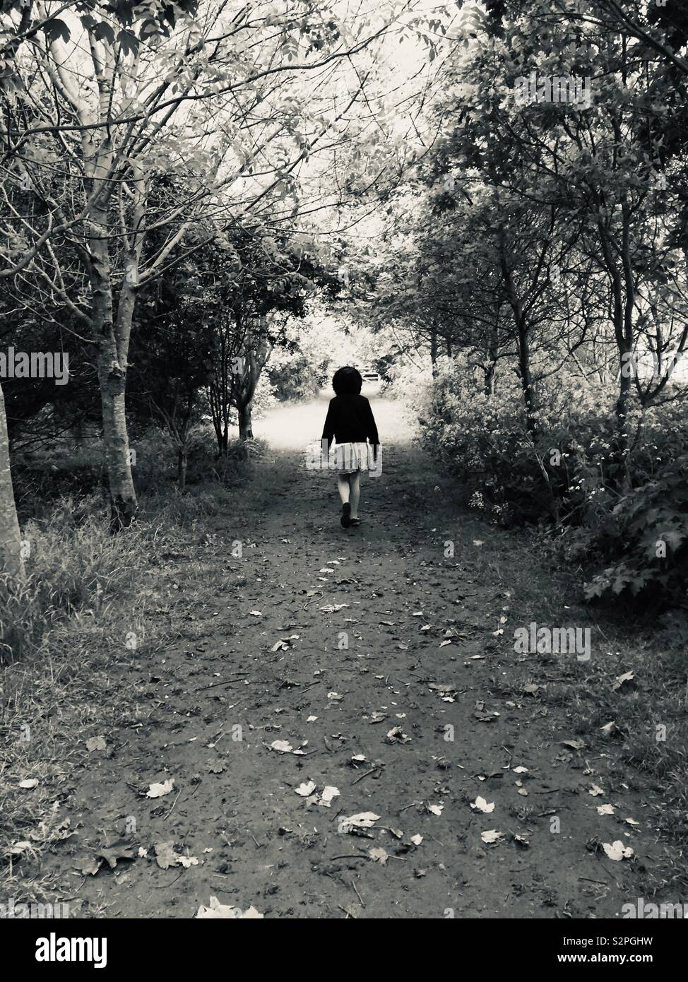 Walking trees hi-res stock photography and images - Alamy