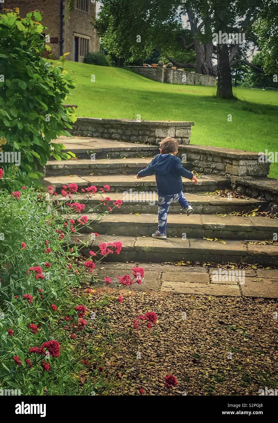 Climbing up the steps hi-res stock photography and images - Alamy