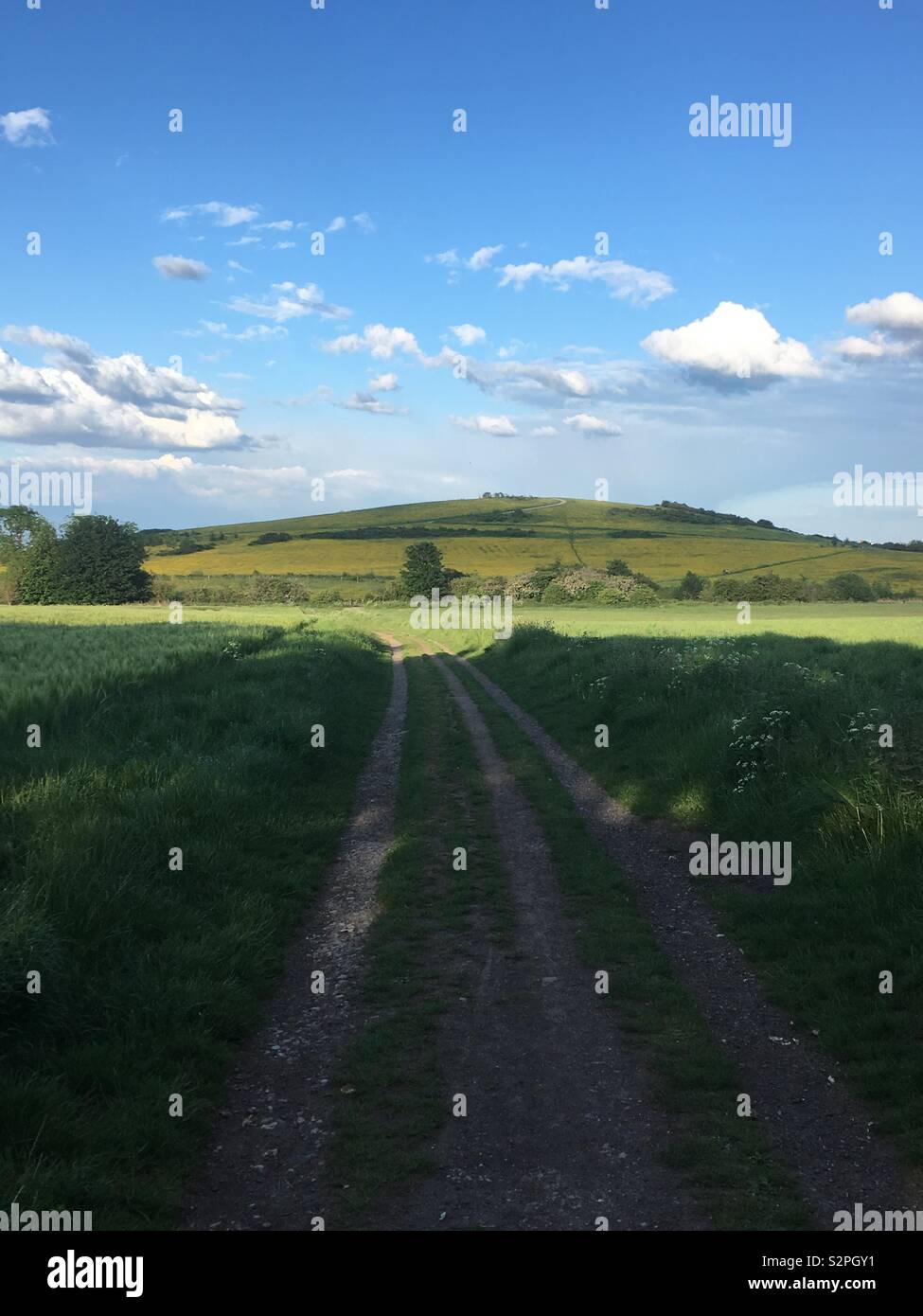 Summer evening walk hi-res stock photography and images - Alamy