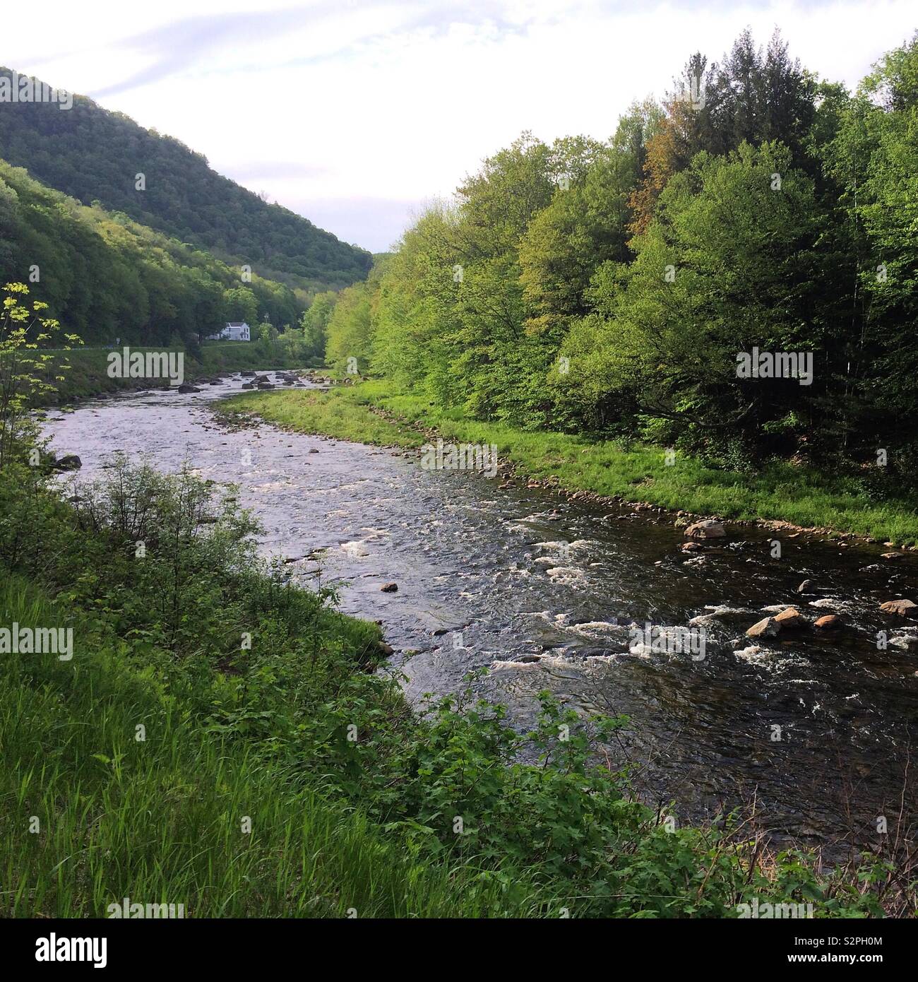 Springtime view of a stream and landscape, Vermont, United States Stock ...