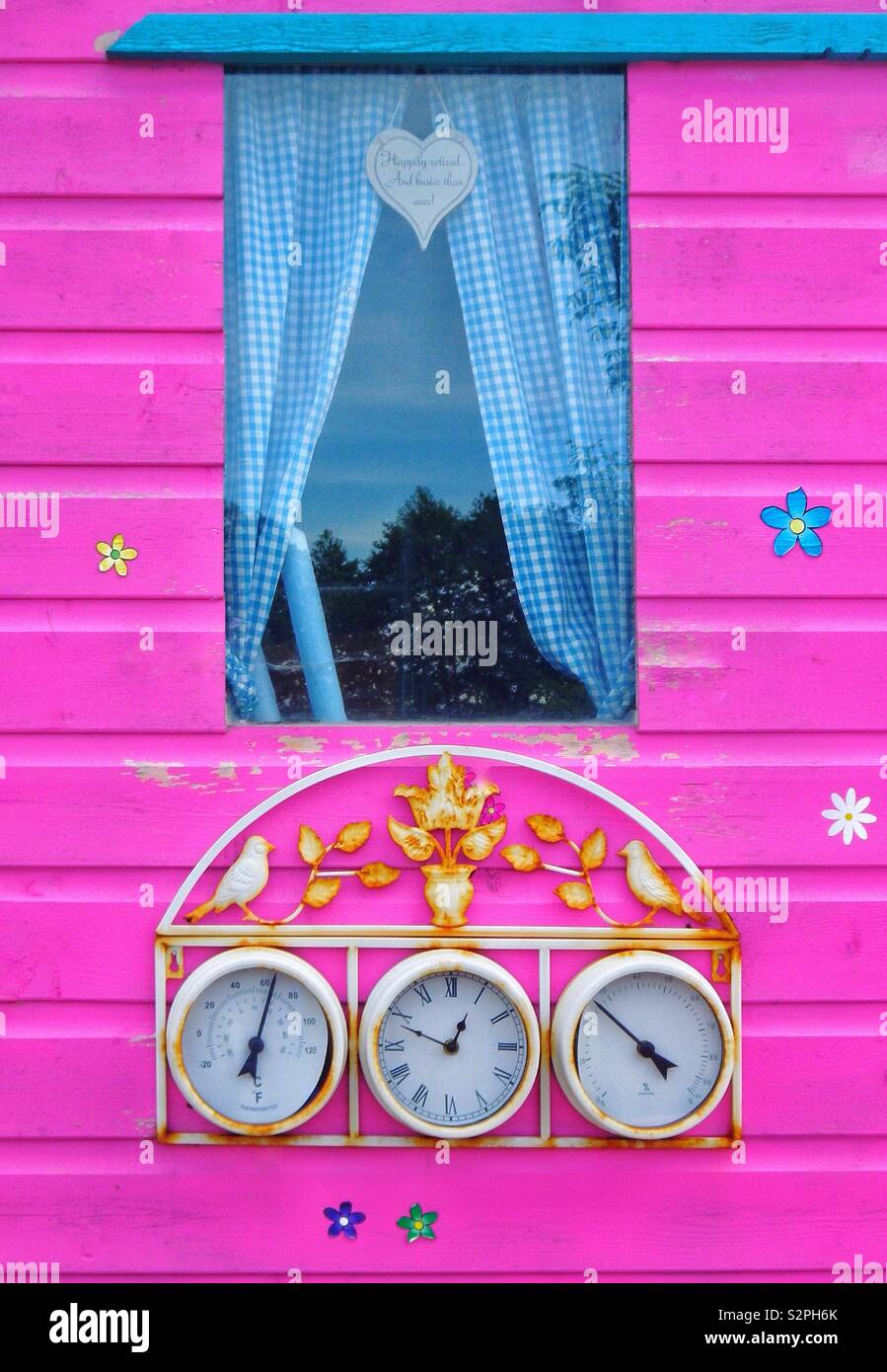 Pink garden shed with curtains and barometer, Kilwinning, Ayrshire ...