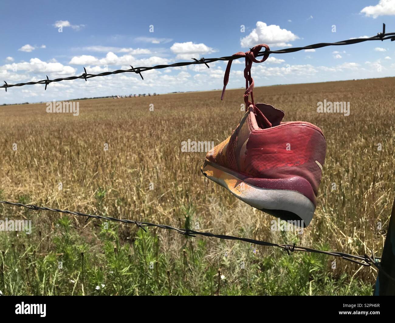 Shoe hanging on barbed wire Stock Photo - Alamy