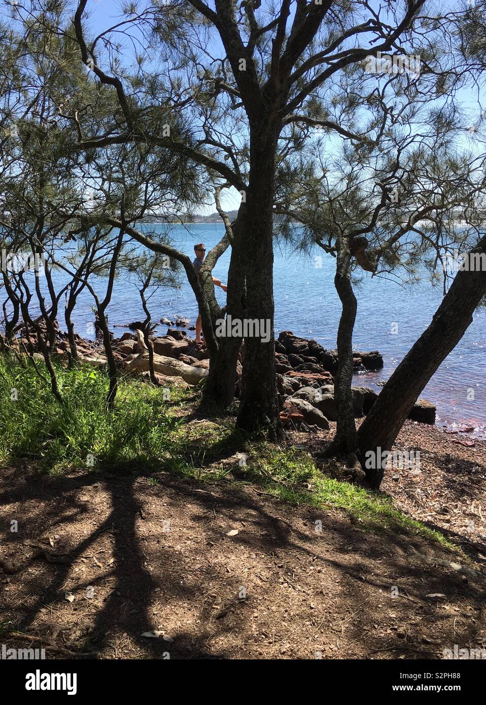 Corlette hi-res stock photography and images - Alamy