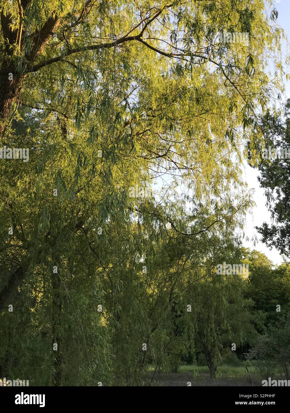 Spring in vermont hi-res stock photography and images - Alamy