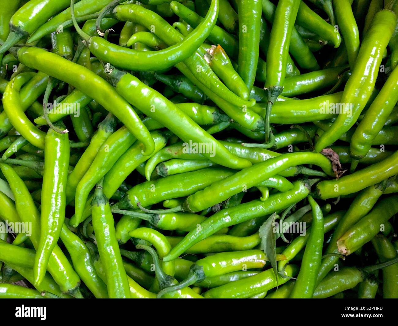 Green chilly fruits Stock Photo - Alamy