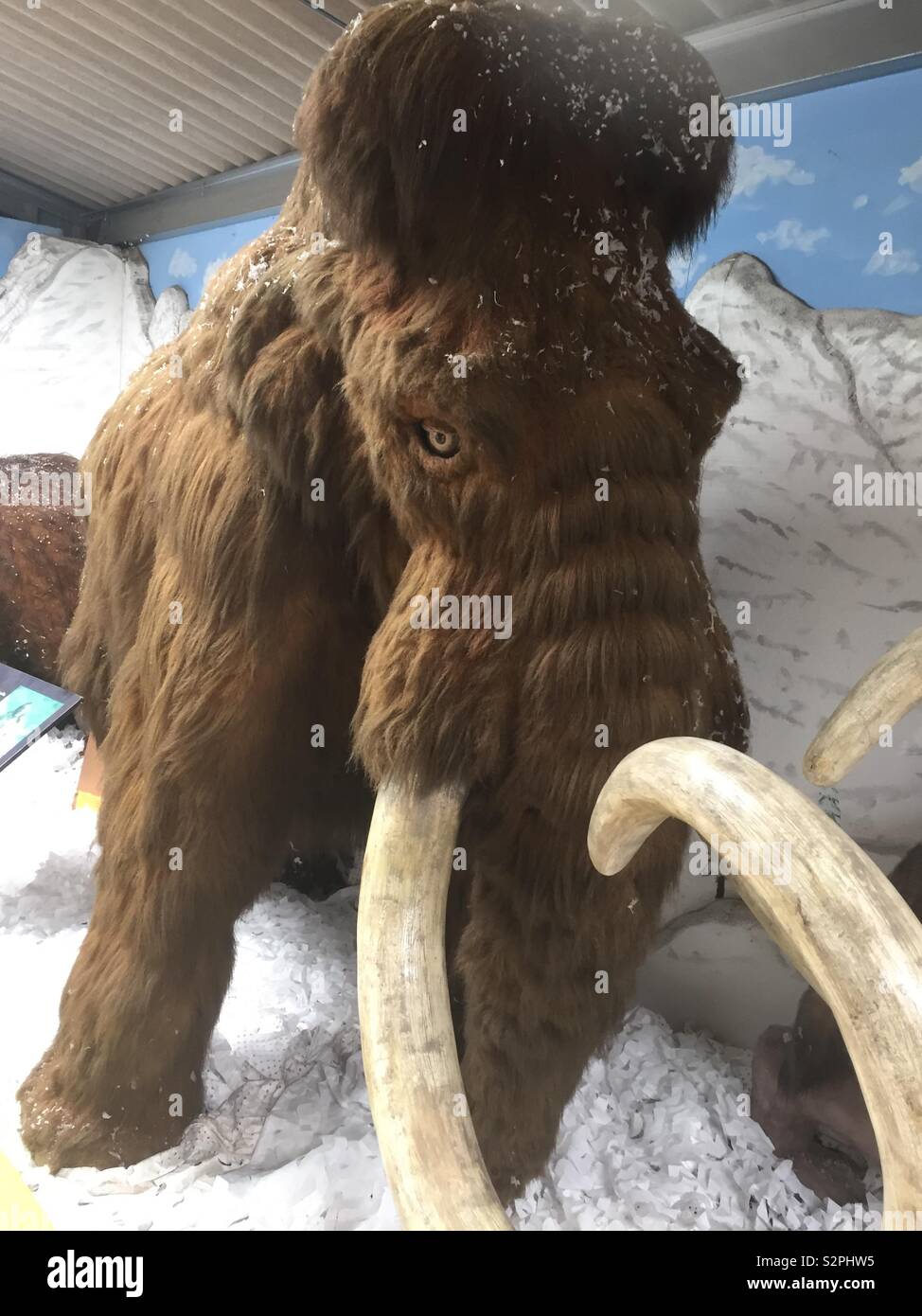 Mammoths High Resolution Stock Photography and Images - Alamy