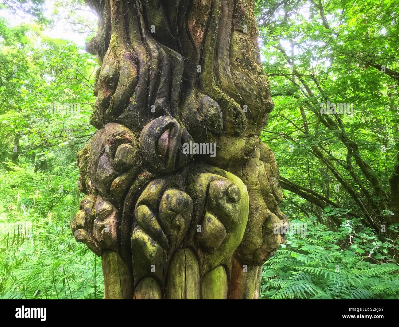 Tree carving hi-res stock photography and images - Alamy