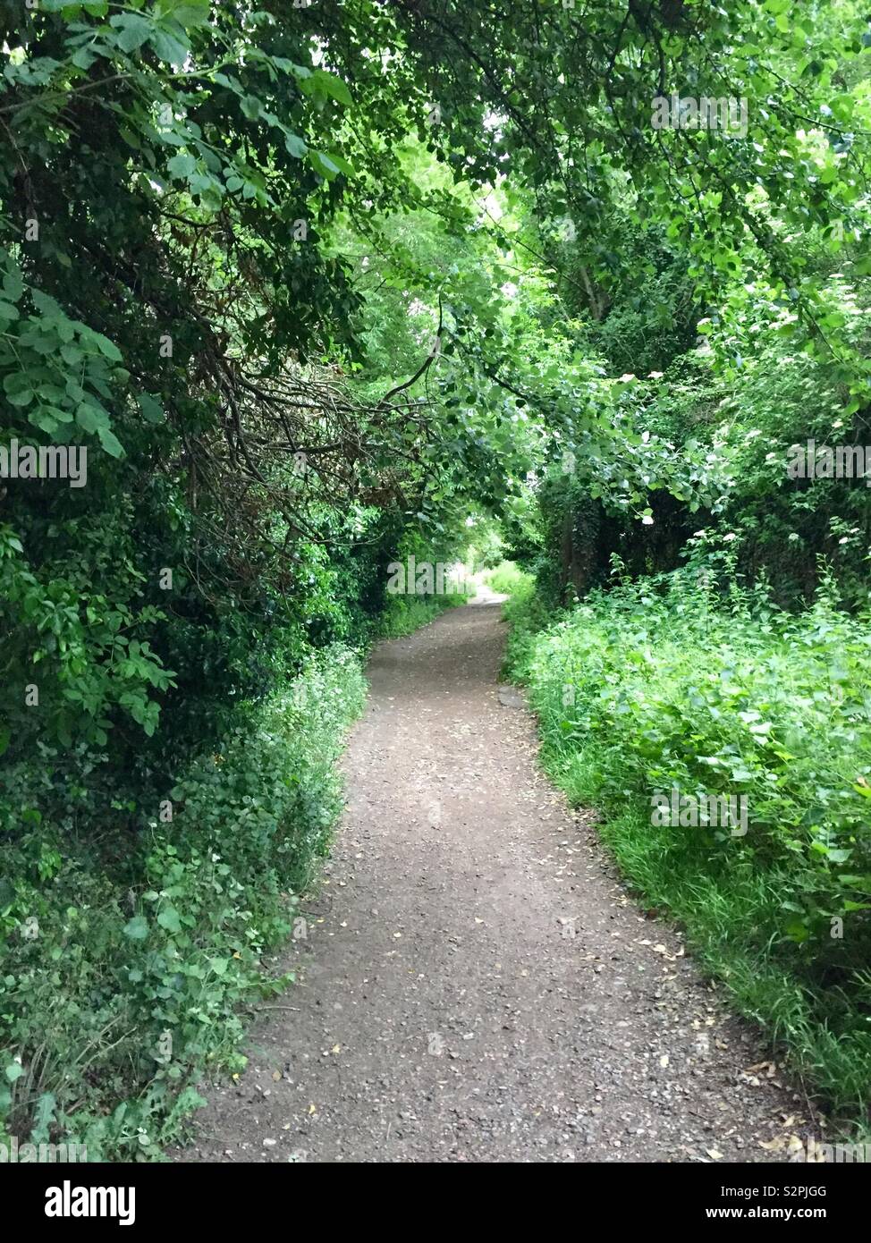 Walk with trees hi-res stock photography and images - Alamy