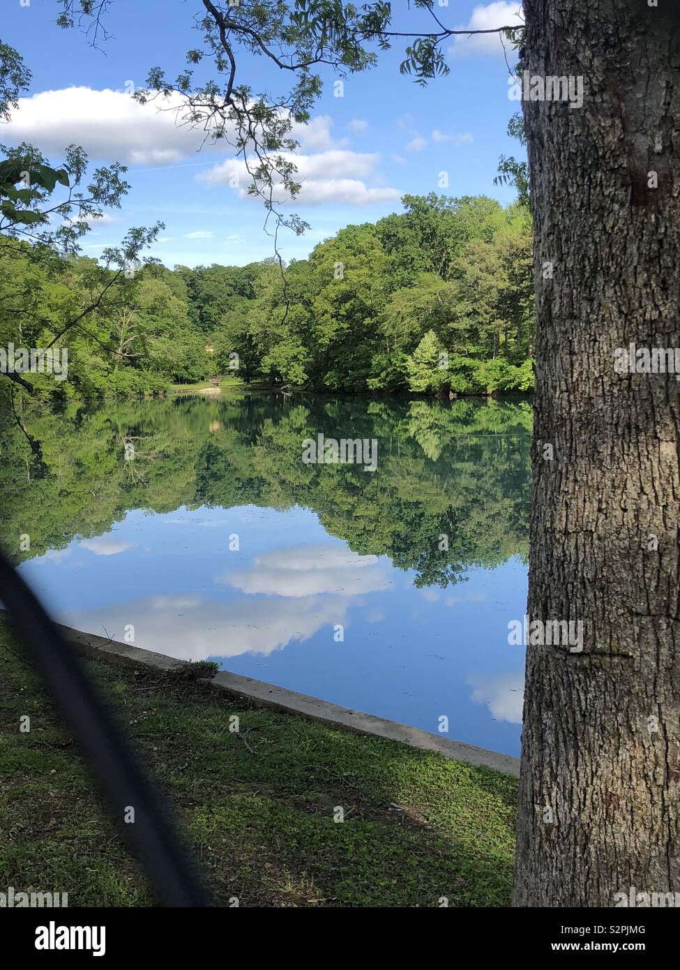 Nature in Arkansas Stock Photo - Alamy