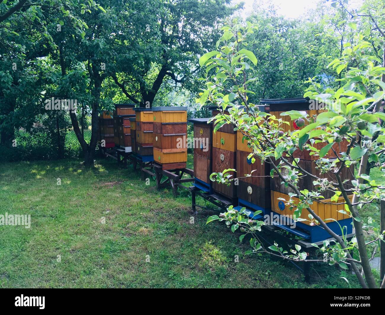 Beehive apiary hi-res stock photography and images - Alamy